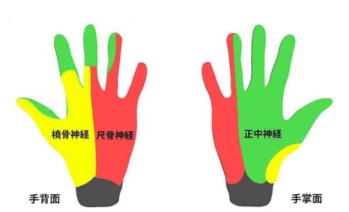 ダブルクラッシュ症候群 -症例- さくらやま鍼灸接骨院 - 名古屋の鍼灸接骨院・ハートメディカルグループ